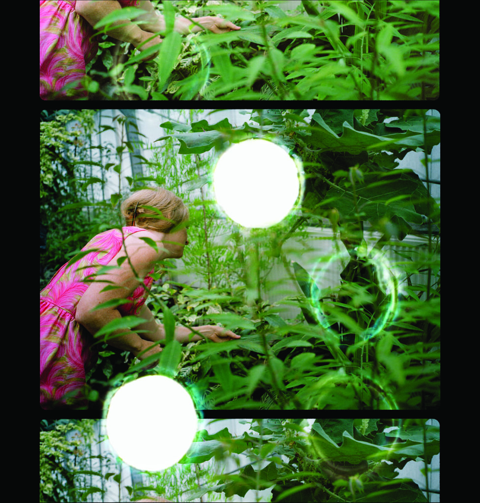 Drawing Conclusions Continued: Creativity for Graduate Students ...